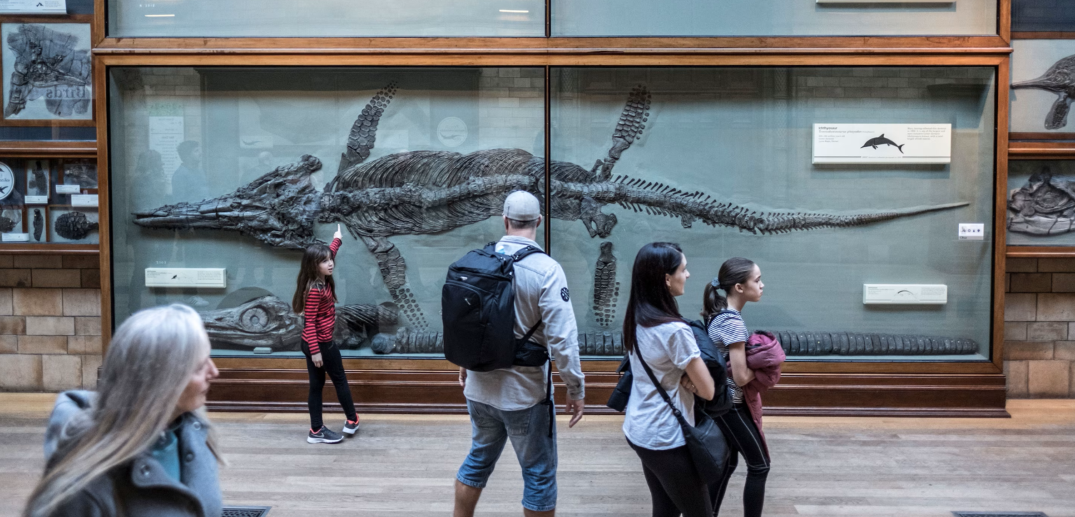 Fossil Hunter: Mary Anning e la sua eredità nella paleontologia